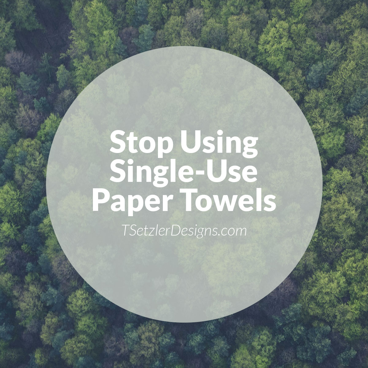Stop Using Single-Use Paper Towels | TSetzler Designs